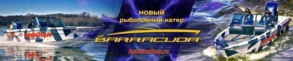 Рыболов на Птичке